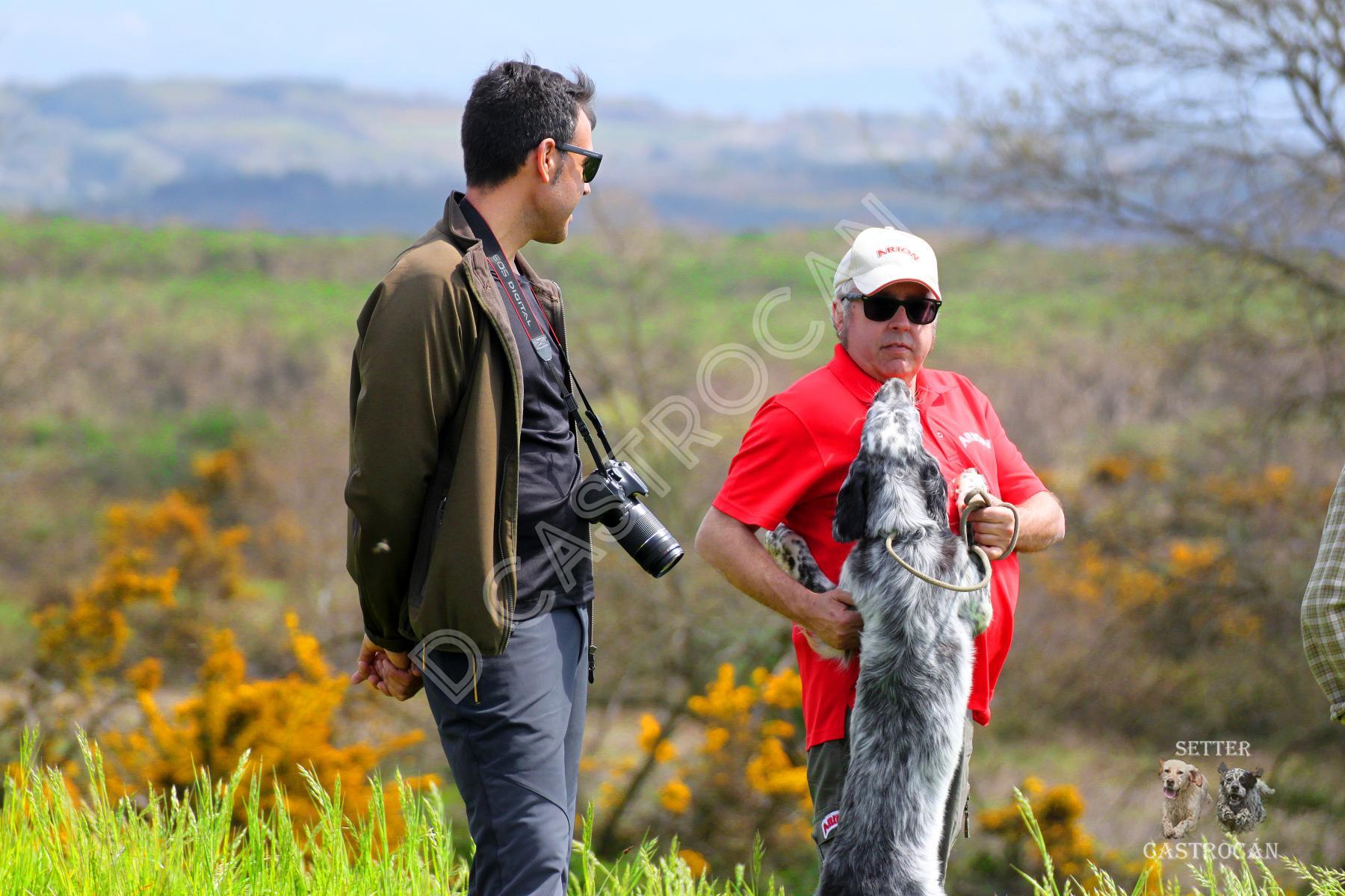 Pan Jovenes promesas Setter Club "Galicia 2019" | Setter Inglés de ...